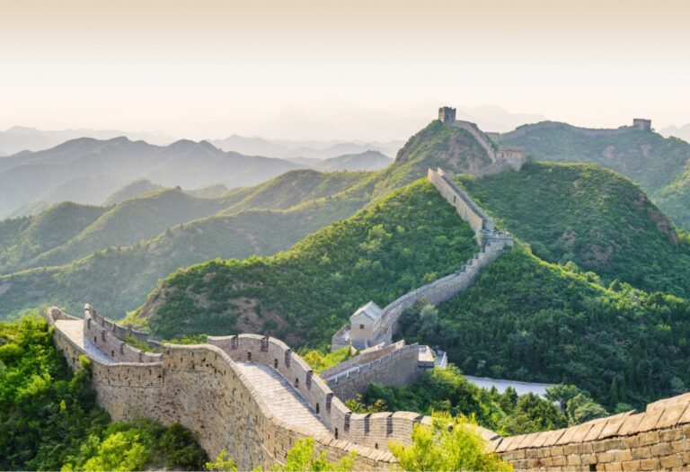Imagine Cruising | Cruise Holidays & Packages 2024/2025