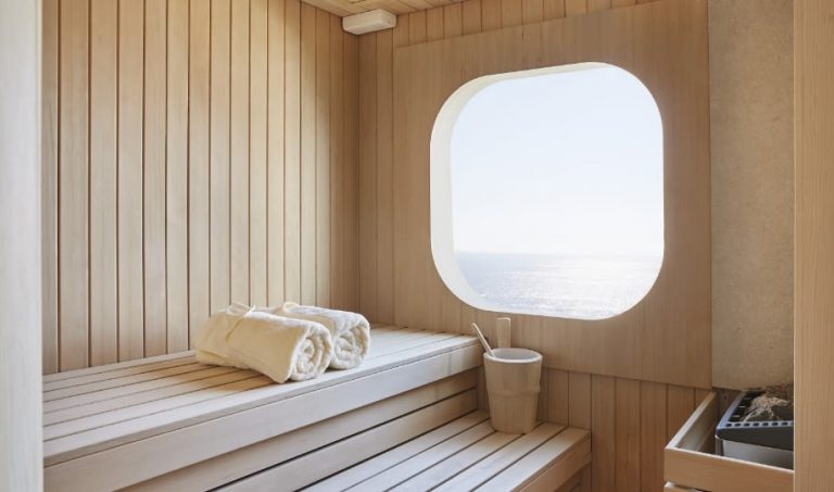 Silver Ray | Imagine Cruising