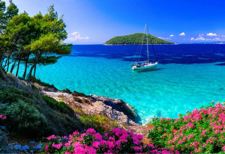 Imagine Cruising | Cruise Holidays & Packages 2023/2024