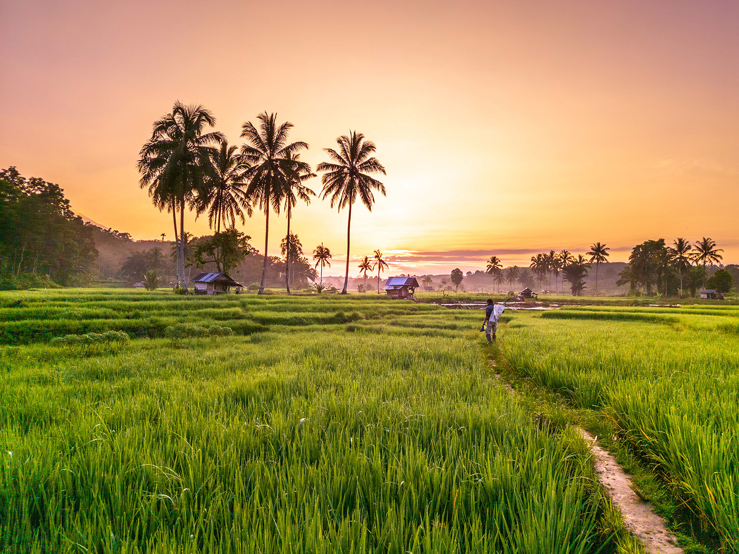 River Cruise Holidays | Imagine Holidays